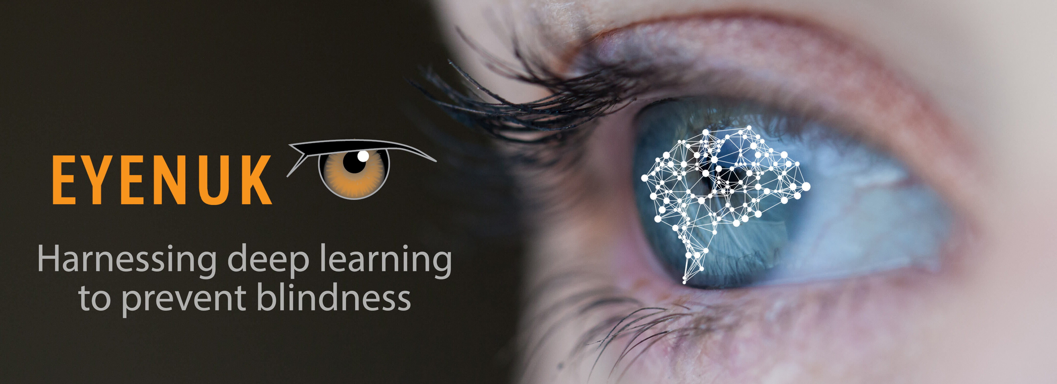 Deep Learning for Diabetic Eye Screening - Eyenuk, Inc. ~ Artificial ...